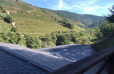 Bodega - Adega Ponte da Boga