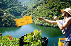 Bodega - Adega Ponte da Boga