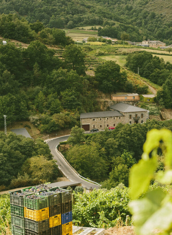 Bodega - Adega Ponte da Boga